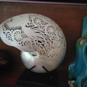 Hand Carved Pearl Mussel Clam Shell XL Size,hummingbird Theme,real and ...