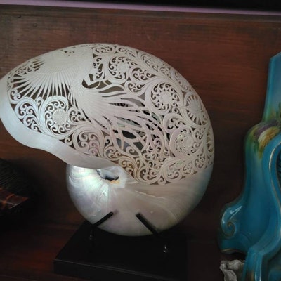 Hand Carved Pearl Mussel Clam Shell XL Size,hummingbird Theme,real and ...