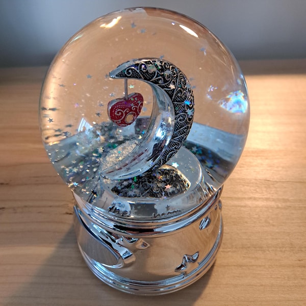 Customized Musical Water Globe, Dino Snow Globe,personalized Snow Globe ...