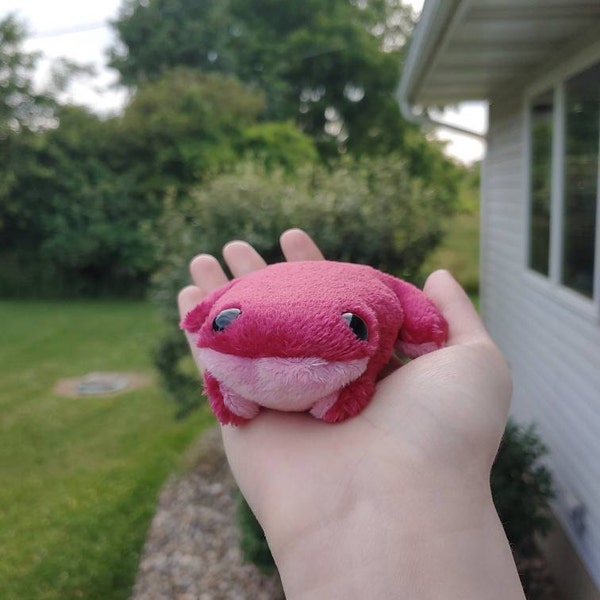 Choose Your Color Combo Frog Plush// Pocket Frog Plushie// Bean Bag ...