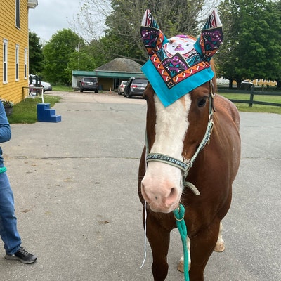 Safety Bonnet With Reflective Tape Added for Night Vision - Etsy