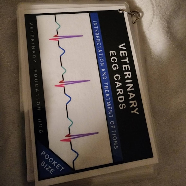 Set of 4 Veterinary Flashcards Bundle, Veterinary Pocket Book ...