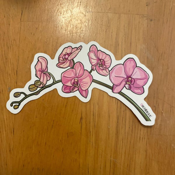 Pink Phalaenopsis Orchid Sticker: Waterproof Floral Laptop Decal - Etsy
