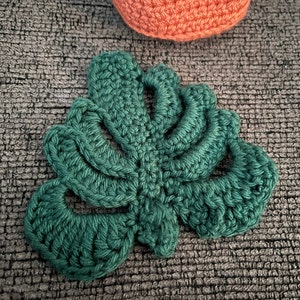 Monstera Leaf Coasters Crochet Pattern Video Tutorial and PDF - Etsy