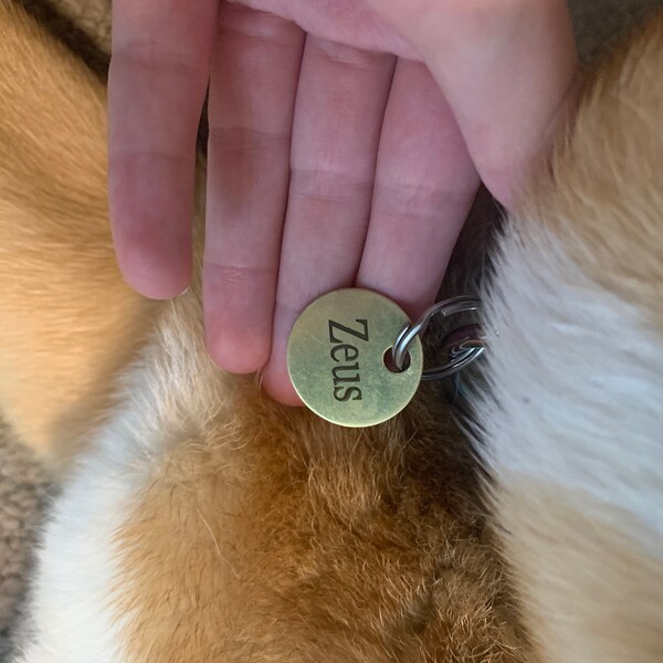 Most Durable Dog ID Tag. Active Dog ID Tag. Large and Heavy Duty Pet ID ...