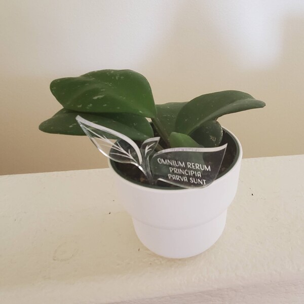 Set of 2 Plant Tags, Acrylic Plant Tags, Custom Plant Tags, Plant ...