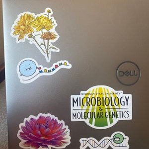 DNA Proteins Sticker Pack - Etsy