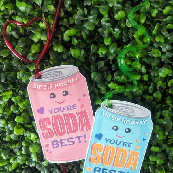 Soda Kids Valentine, Crazy Straw Kids Valentine, Kids Valentine, School ...