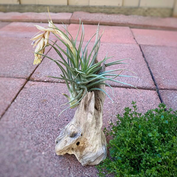 Fancy Journal/planner Clips, Bookmarks, Ribbon Flowers - Etsy