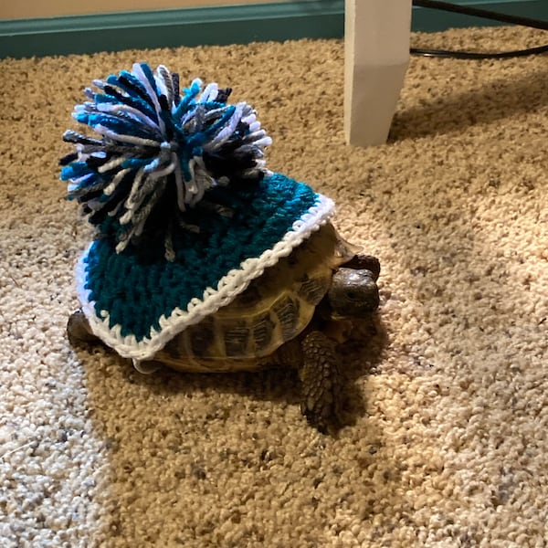 Festive Pom Pom Turtle/ Tortoise Costume - Etsy