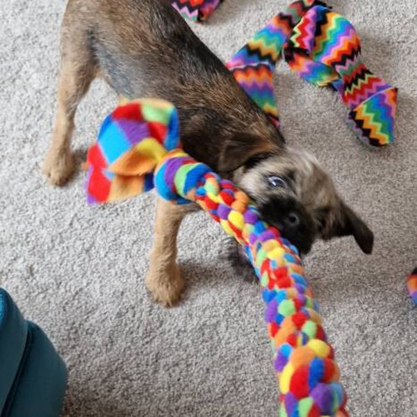Large Snuffle Snake Interactive Dog Puzzle Long Lasting Treat Finding ...