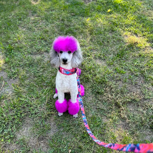 Dog Groomer Uniform, Dog Grooming Dress, Grooming Apparel for Women ...