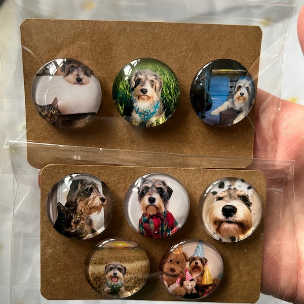 Handmade Round Glass Manchester Bee Magnets | Custom Glass Magnets ...