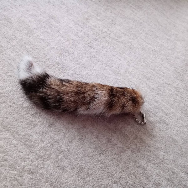 Genuine Bobcat Tail Keychain (CHOOSE SIZE) - Etsy
