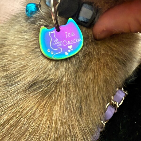 Stainless Steel Cat Tag, Cat Name Tag, Personalized Cat Tag, Pet Cat ...