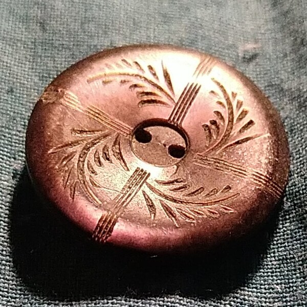 Antique Button Rare and Unusual Intaglio Glass Birds in Celluloid in ...