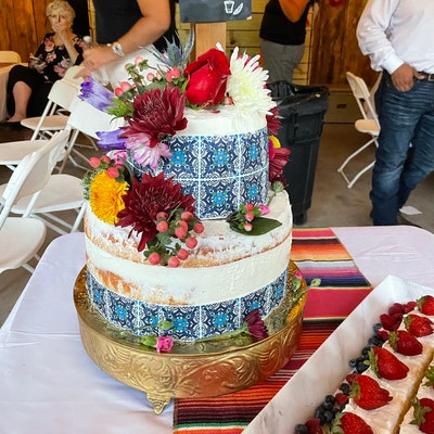 Farm Animals With Gingham Trim Edible Cake Wrap or Cute Pig - Etsy