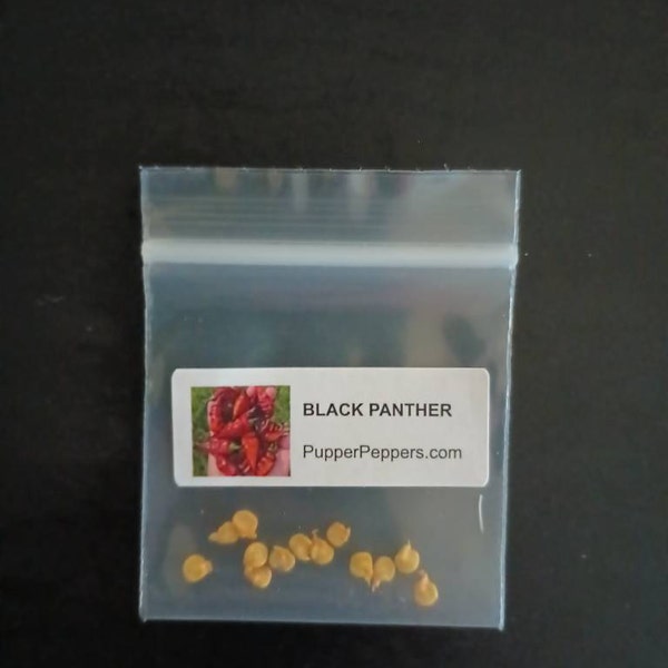 Purple Peach Carolina Reaper Rare Pepper Seeds Premium Packet - Etsy