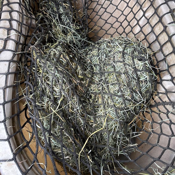 Slow Feed Hay Net for Over Your Hay Basket, Easy Fill. Soft Woven ...