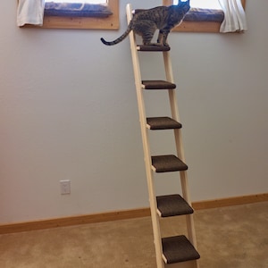 Cat Ladder 8 Step Cherry Hardwood Lets Cats Climb Indoors to Reach New ...