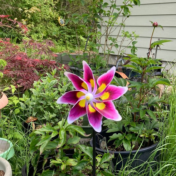 Hummingbird Pinwheel Spinner Whirligig Windmill Fan - Etsy