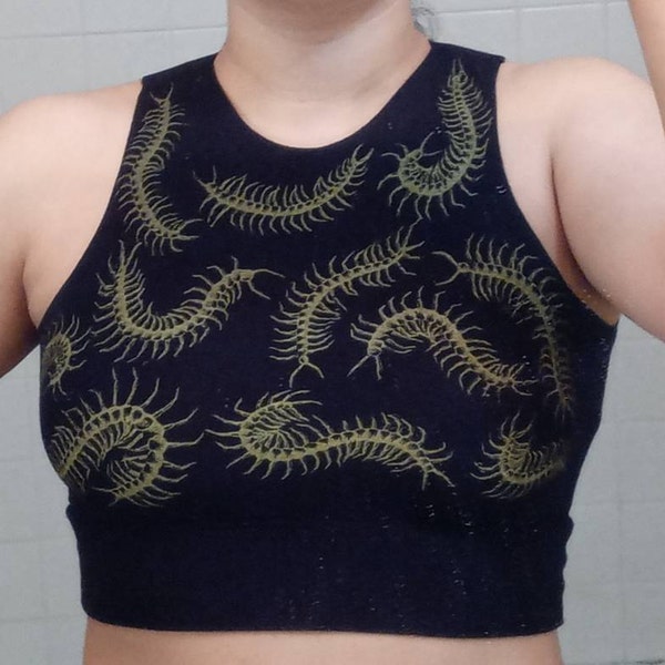 Polyphemus Moth Pin Set - Etsy