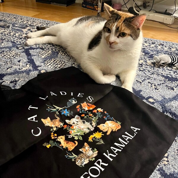 Texas Map Shirt, Don't Mess With Texas Tshirt, Patriotic Gift, Stand ...