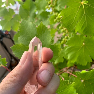 Starbrary Quartz Crystal Cluster With Fine Lemurian Striations, Key ...