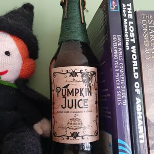 Cat Potion the Witcher Geralt Yennefer Ciri - Etsy