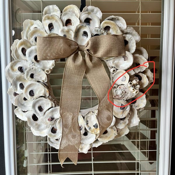 Beach Garland, Beach Decor, Shell Garland, Seashell Garland, Beach ...