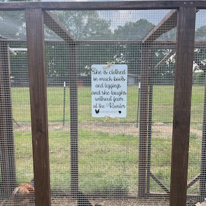 Polish Rabbit Svg Clipart - Etsy