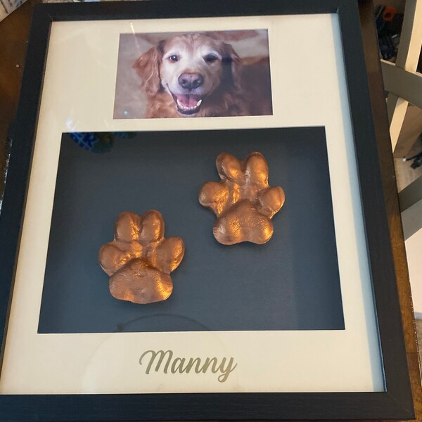 Pet Casting | Paw Cast | Paw Print | DIY Casting Kit | Keepsake for Dog ...