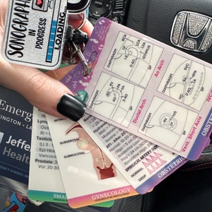 Ultrasound School Abdomen Flashcards, Ultrasound Student Study Notes ...