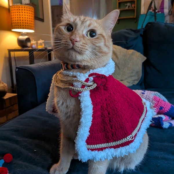Royal Prince Nobility Clothes for Cats, Prince Crown for Cats, Handmade ...