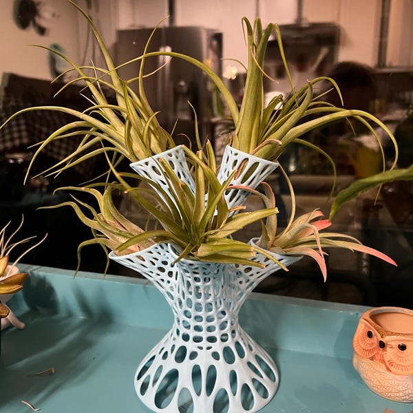 Voronoi Air Plant Holder: Modern Display Stand for 6 Plants - Etsy