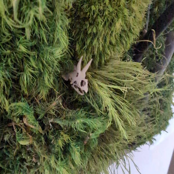 Tadpole Mini Jar - Baldur's Gate 3 Mind Flayer Illithid Parasite ...