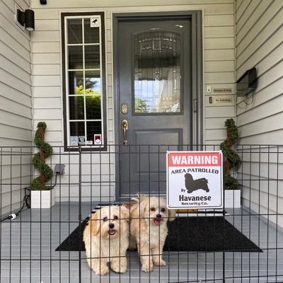 BUTTERFLY CROSSING Sign New Xing Butterflies Gift - Etsy