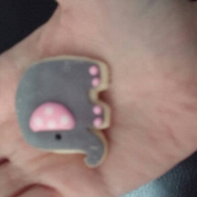 Mini Baby Elephant Sugar Cookies Yellow and Grey Elephants Bite Size 2 ...