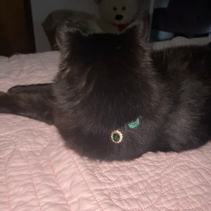 Princess Cat Collar,rhinestone Cat Collar,black Green Velvet Tiny Dog ...