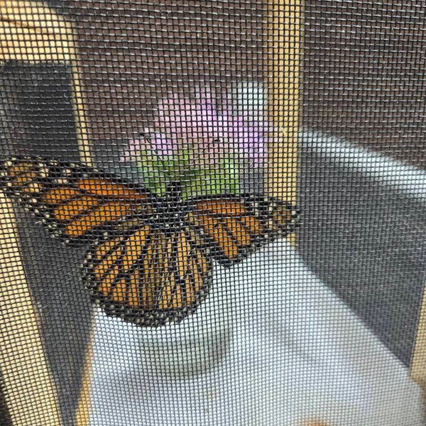 Monarch Butterfly Standard Wood-frame Enclosure & Screenroom Habitat ...