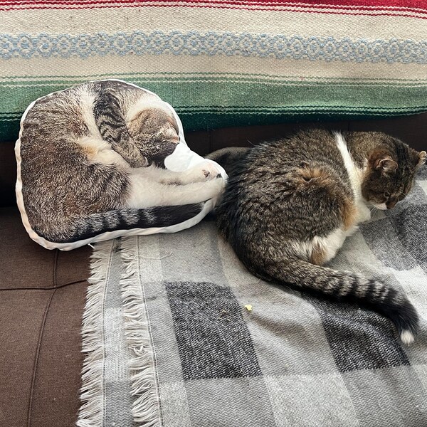 Custom Cat-shaped Throw Pillow, Personalized Cat Cushion, Custom Pet ...