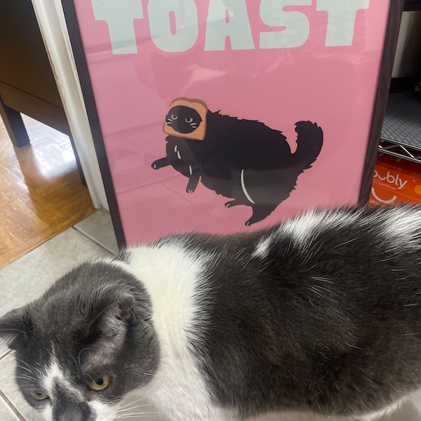 Pink Toast Cat Wall Print, Black Cat Wall Art, Cat Lover Gift, Digital ...