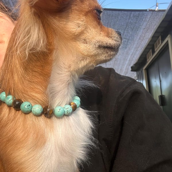 Lithotherapy and Anti-ticks Collar for Dog, Anti-anxiety and ...