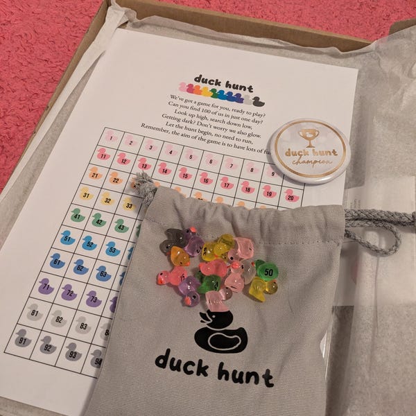 Personalised Duck Hunt Party Game | Stocking Stuffer Gift | Family Game ...
