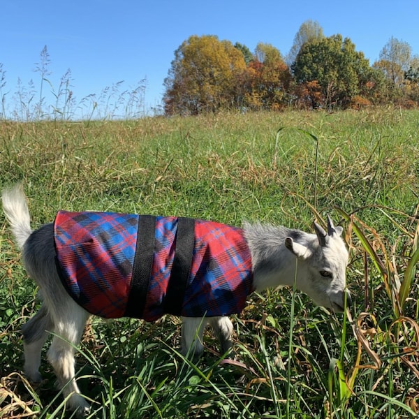 Insulated KID Goat Coat 14 Topline Perfect for NEWBORNS - Etsy
