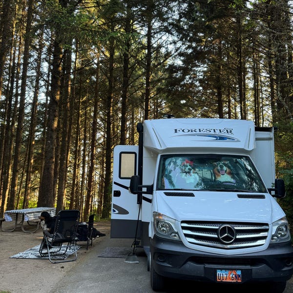 Ragdoll Car Sunshade, Ragdoll Cat Gift, Ragdoll Car Decor, Ragdoll Auto ...