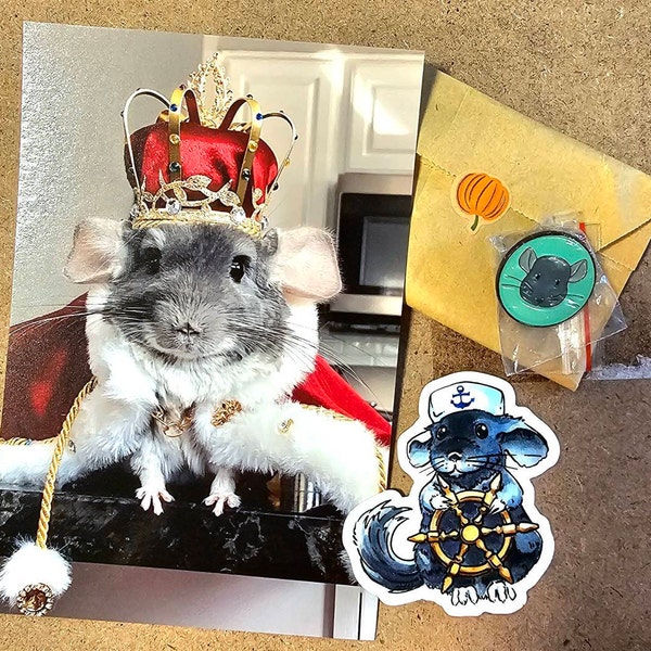 Chinpals Metal Enamel Chinchilla Pin - Etsy