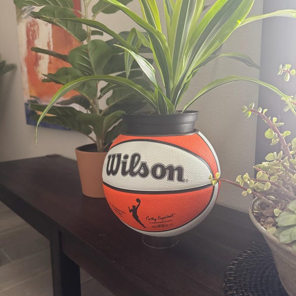 Plntrs - WNBA Wilson Authentic Series Basketball Planter - New Ball ...