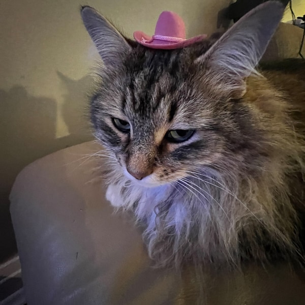 MINI Pink Cowboy Cat Hat FREE SHIPPING - Etsy