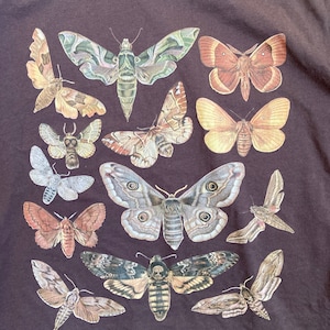Moth Shirt Cottagecore Shirt Bug Shirt Aesthetic Tshirt Insect Shirt ...